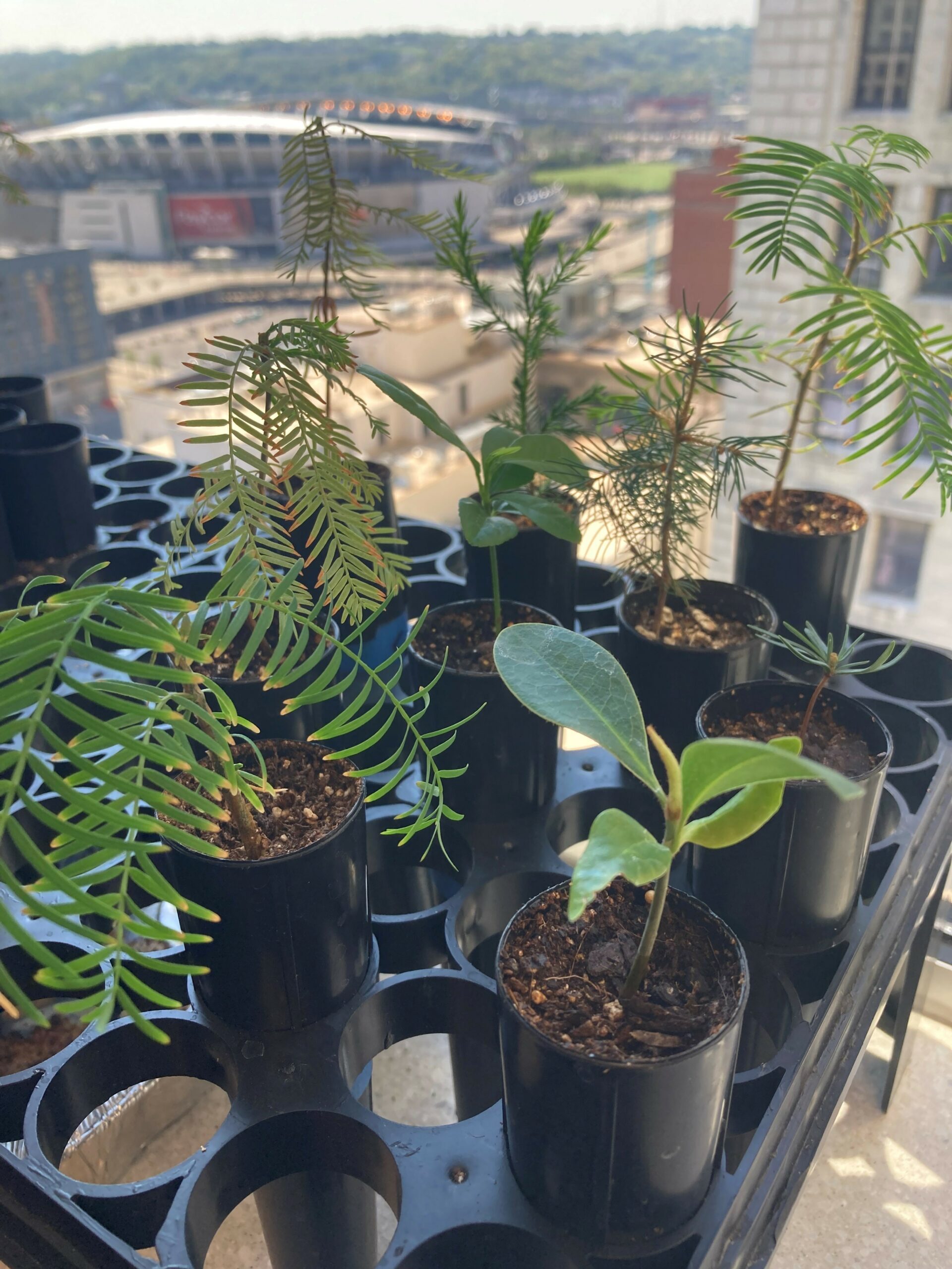 Volunteer Spotlight: Adam Centner, Keating, Muething & Klekamp PLL ...